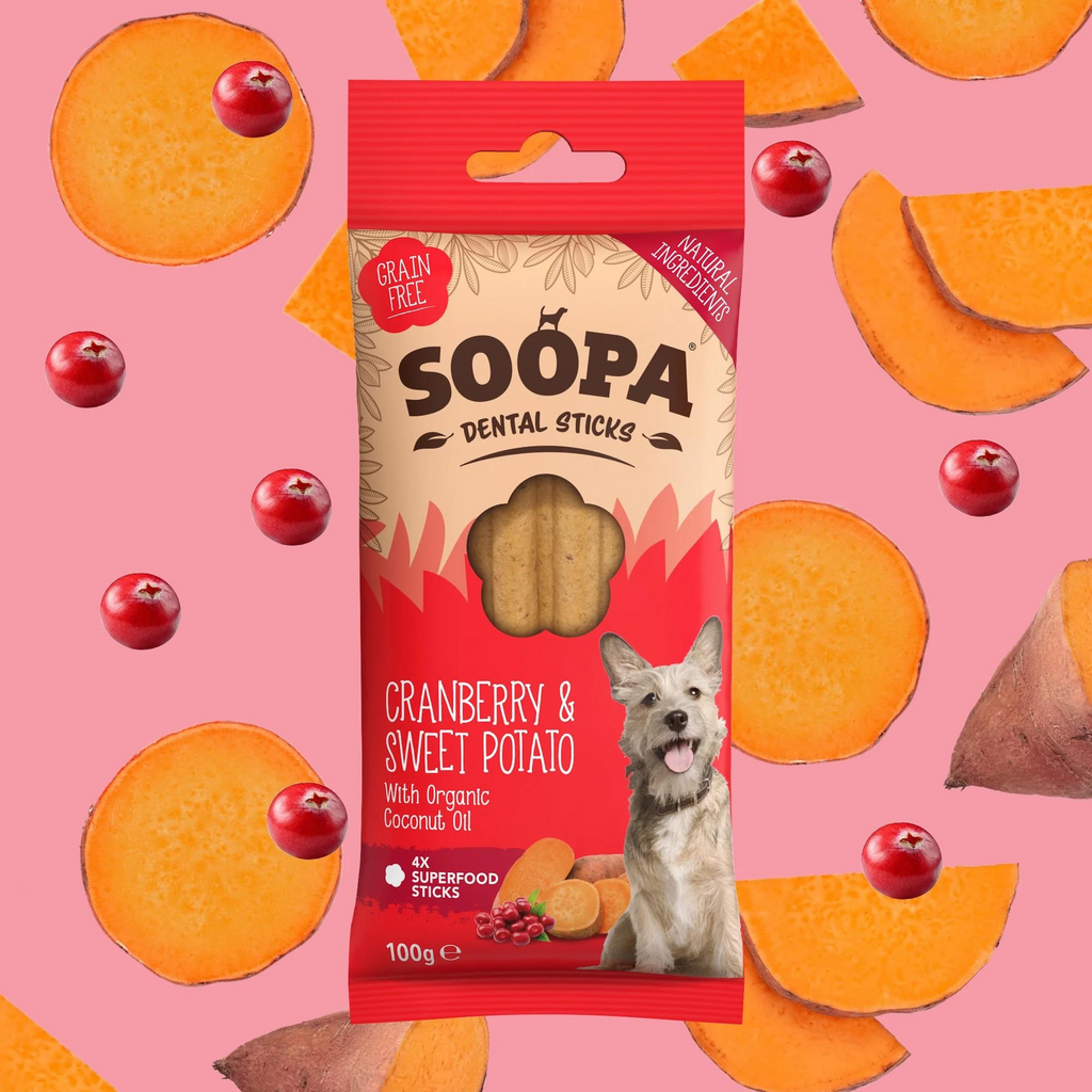 All products – Dogs Trust Shop