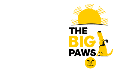 Dogs Trust Online Shop - Shop for Your Dog and Support Dogs Trust ...