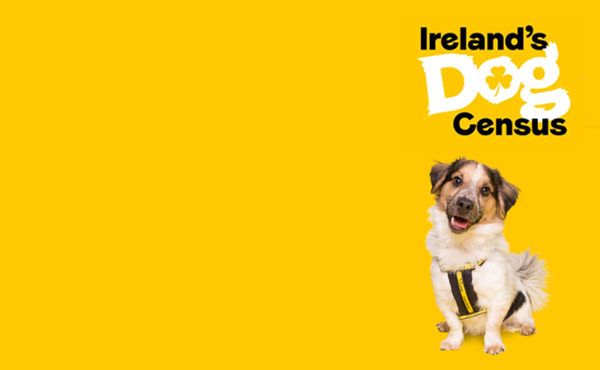 Dogs Trust Online Shop - Shop for Your Dog and Support Dogs Trust ...