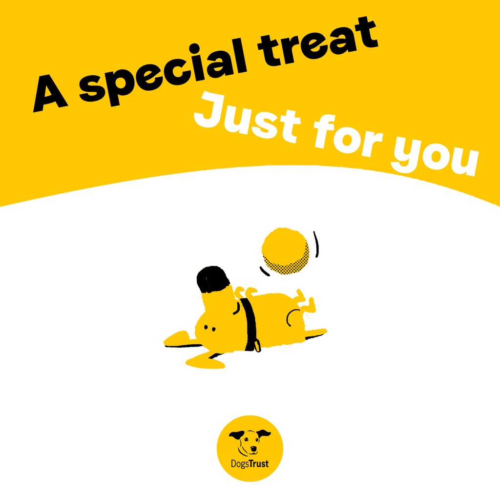 Christmas Cards – Dogs Trust Shop